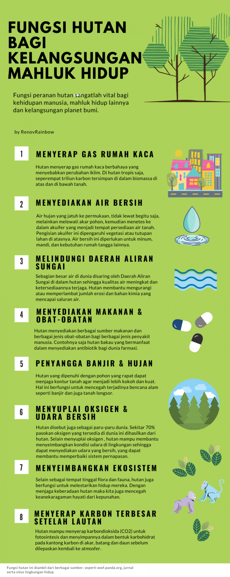 Hutan Lindung Sungai Wain Dan Program Baru Adopsi Hutan